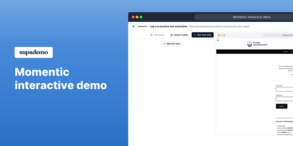 Momentic interactive demo