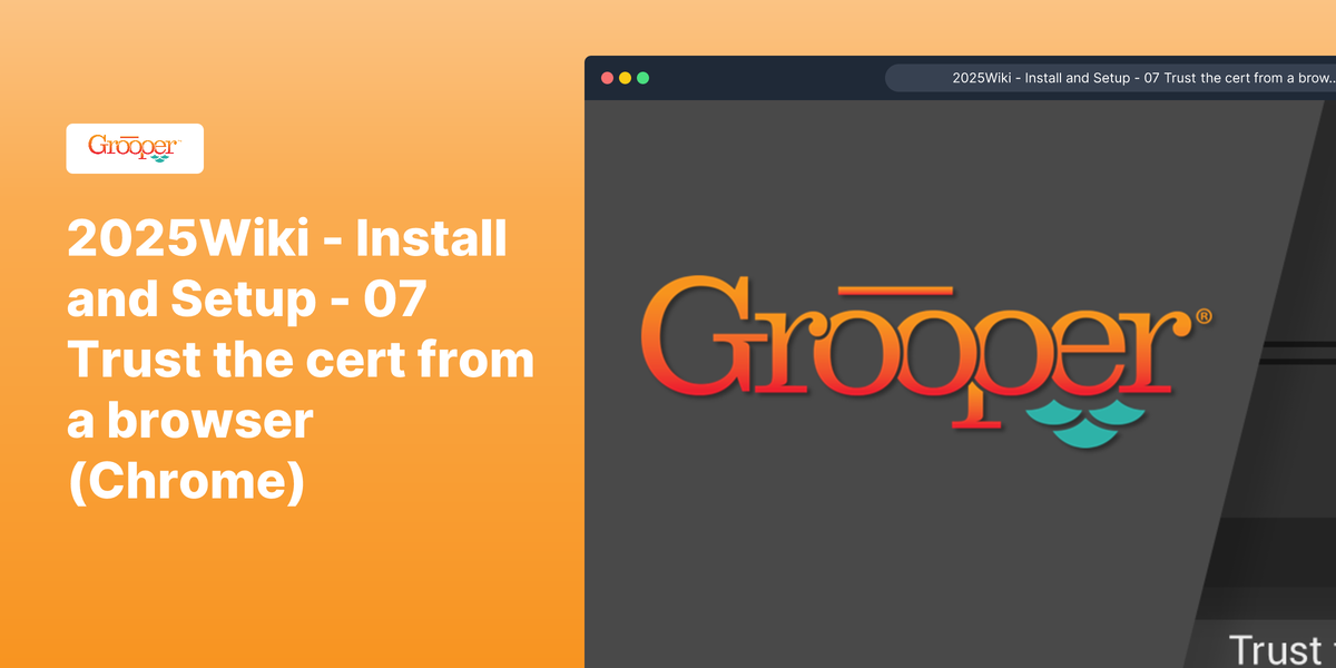 2025 Wiki - Install and Setup - Trust the cert from a browser (Chrome)