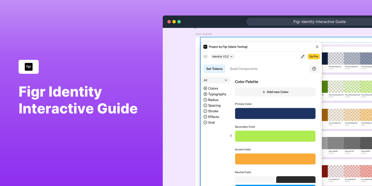 Figr Identity Interactive Guide